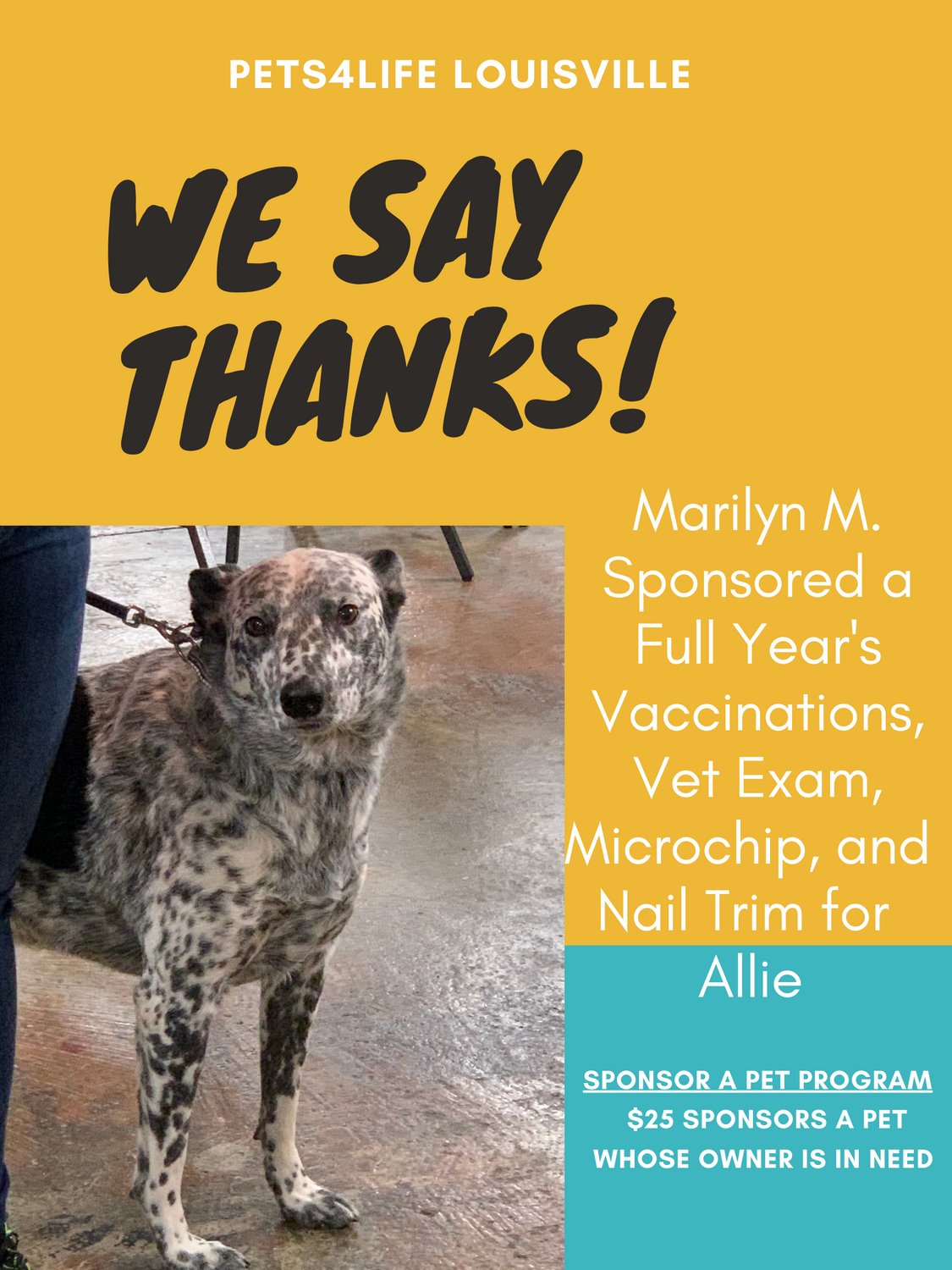 Sponsor a Pet – Pets4Life Louisville