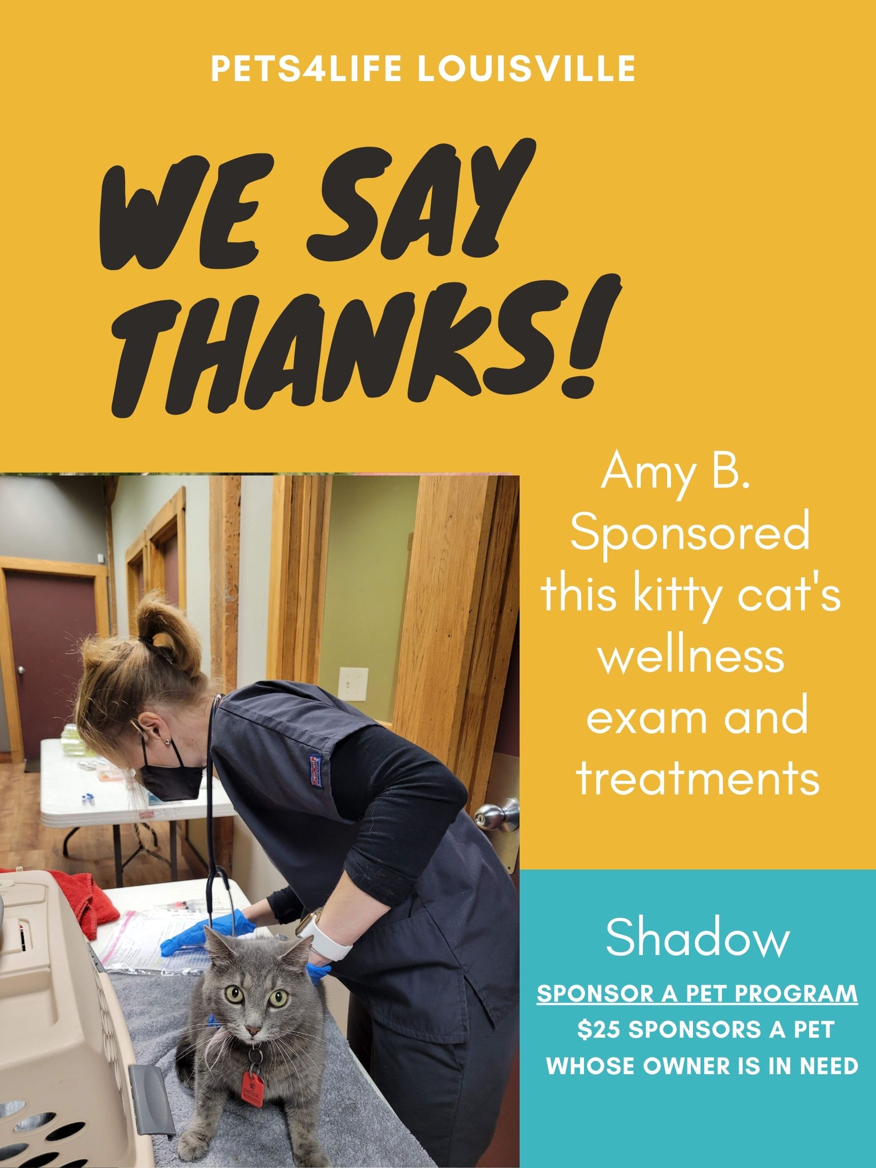 Sponsor a Pet – Pets4Life Louisville