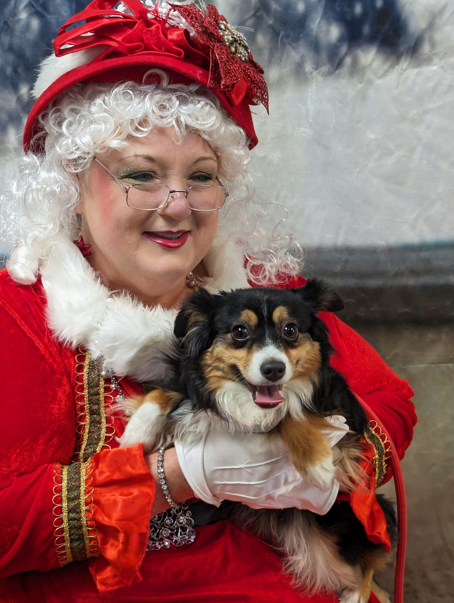 Blog – Pets4Life Louisville