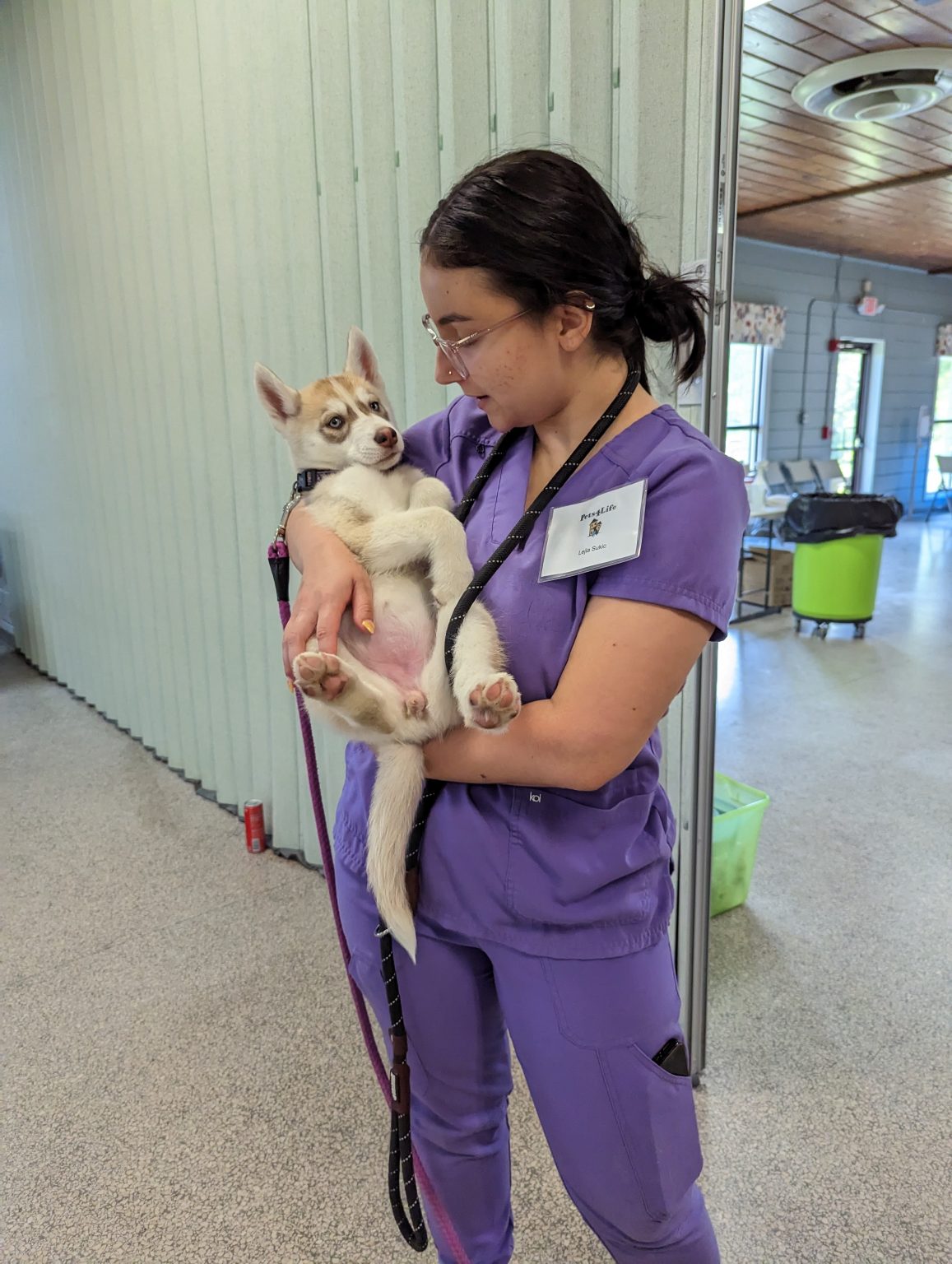 Blog – Pets4Life Louisville