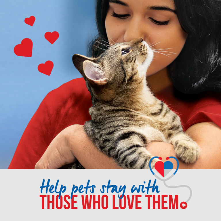 Pets4Life Louisville – Helping People Keep Their Pets4LIfe!