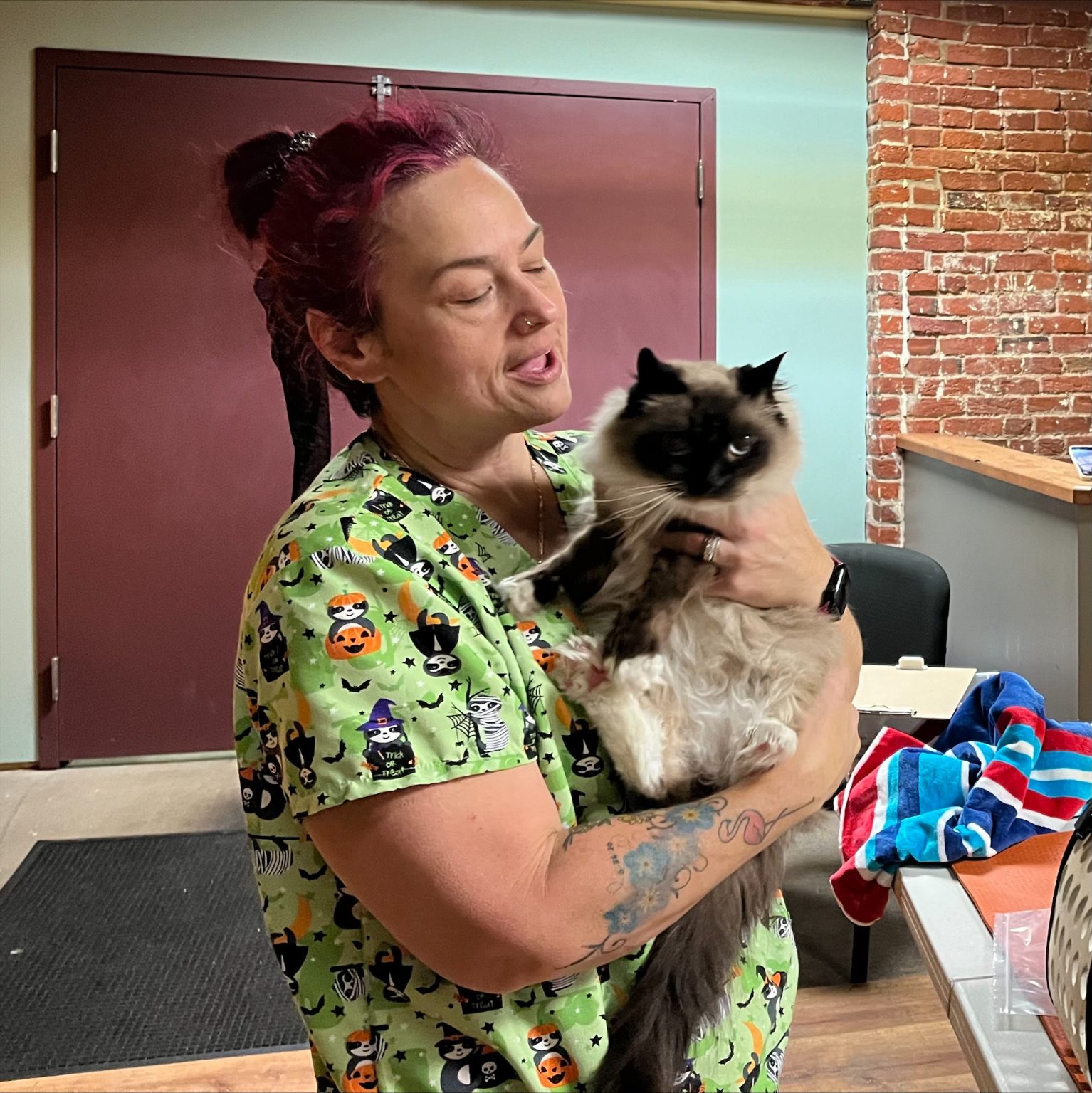 Blog – Pets4Life Louisville